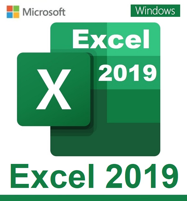Excel 2019 | Digital Pro Link