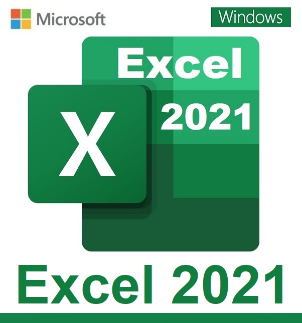 Excel 2021 | Digital Pro Link